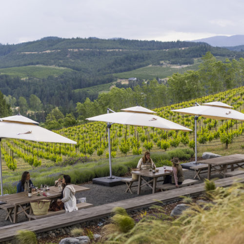 Escape to Mosier – Analemma Wines